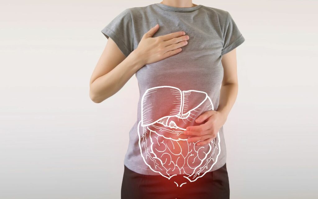 The Stomach and Its Role in Digestion - Renew Bariatrics